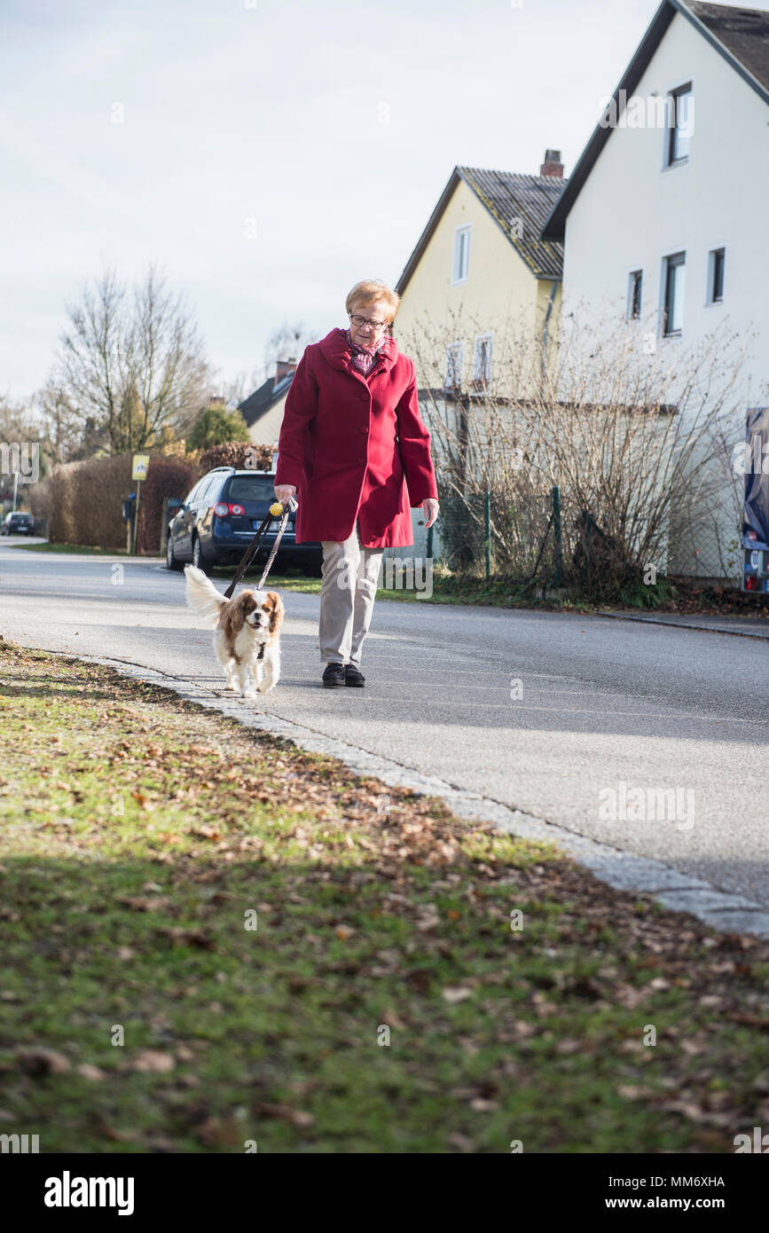 Old woman walking with pet dog on street Stock Photo - Alamy