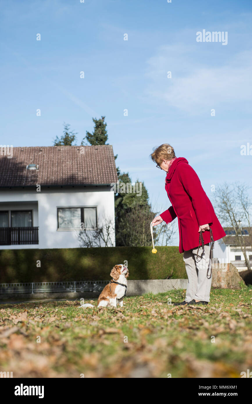 Old woman and dog playing with toy at park Stock Photo - Alamy