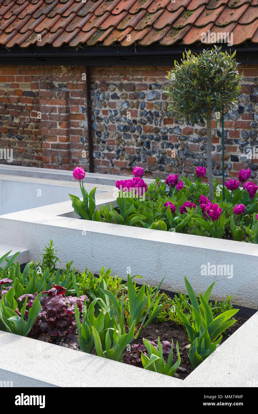 Tiered raised beds made from rendered Blockwork, planted with Heuchera ...