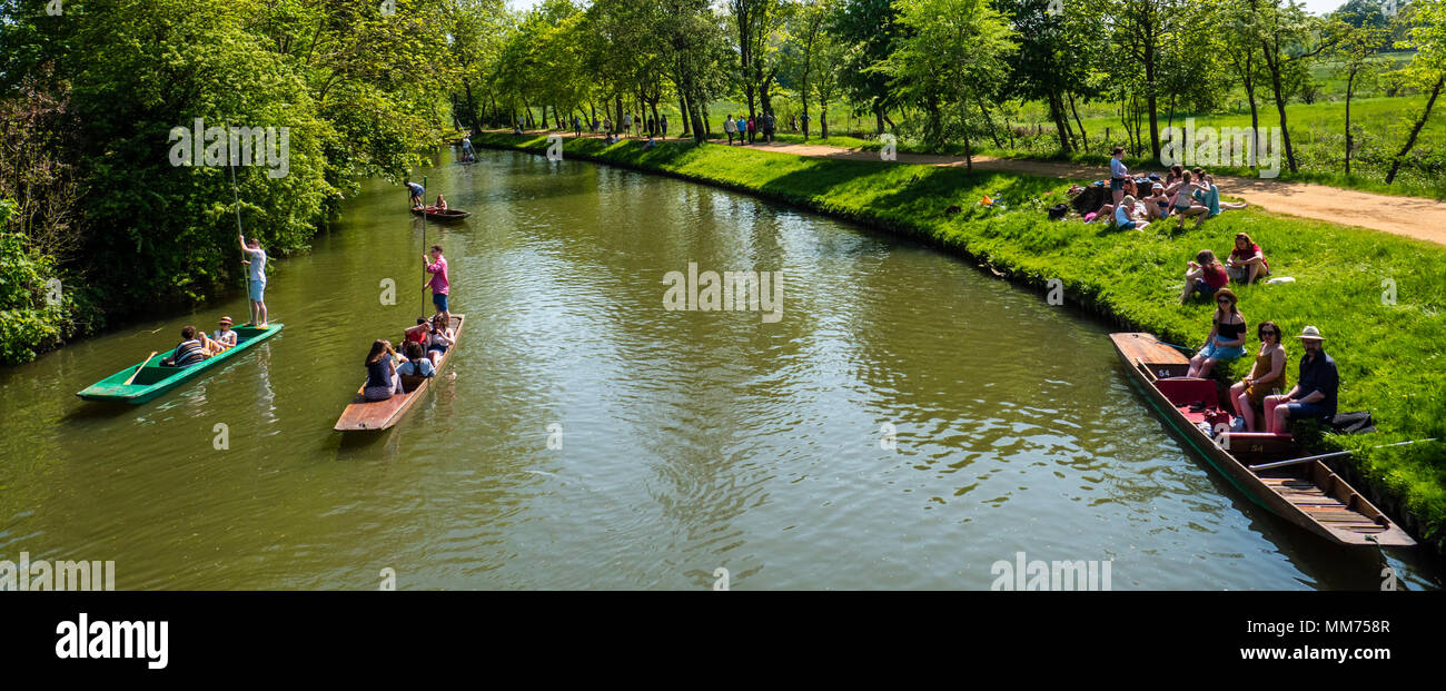Punting, River Cherwell, Christchurch Meadow Walk, Christ Church ...