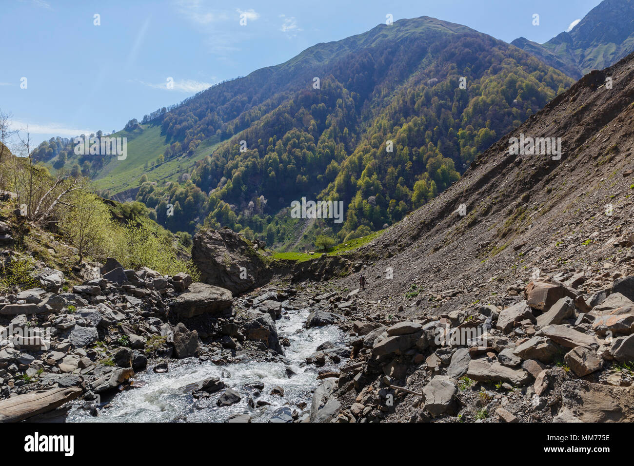 Mountain slopes in spring Stock Photo - Alamy