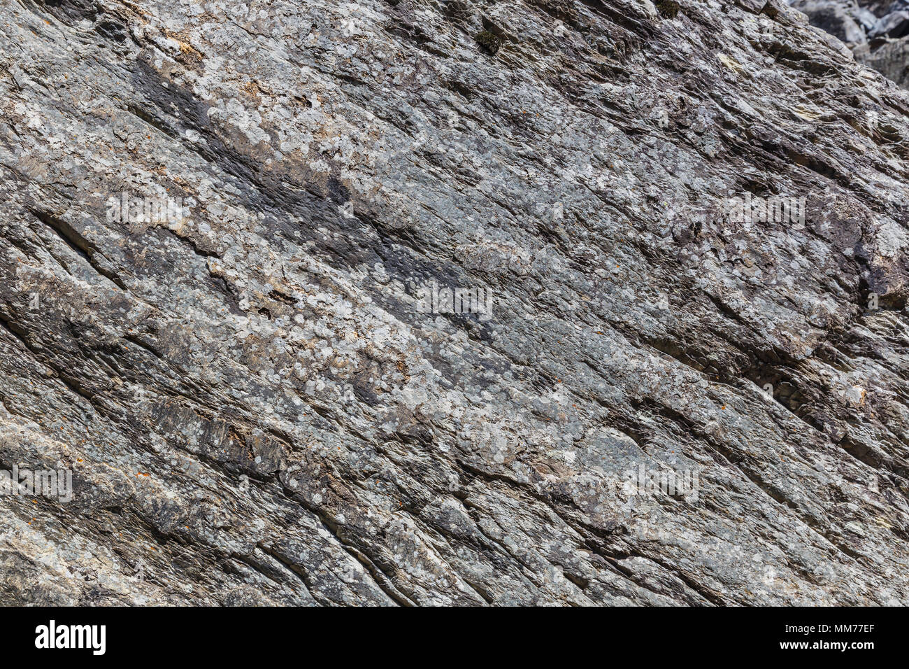 Texture of rock Stock Photo - Alamy