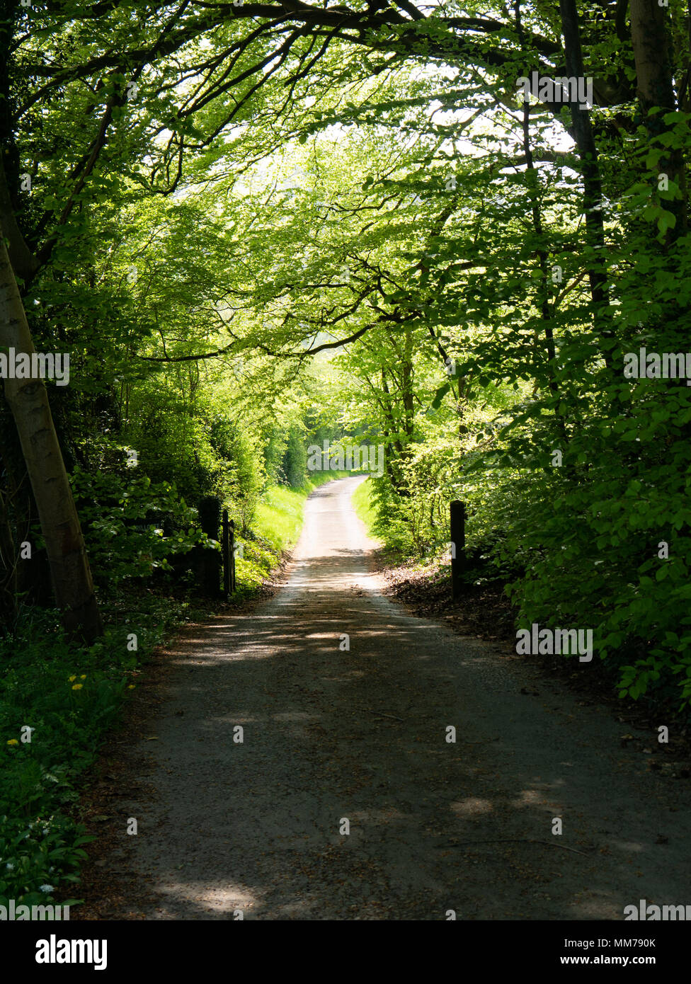 Rosebank farm hi-res stock photography and images - Alamy