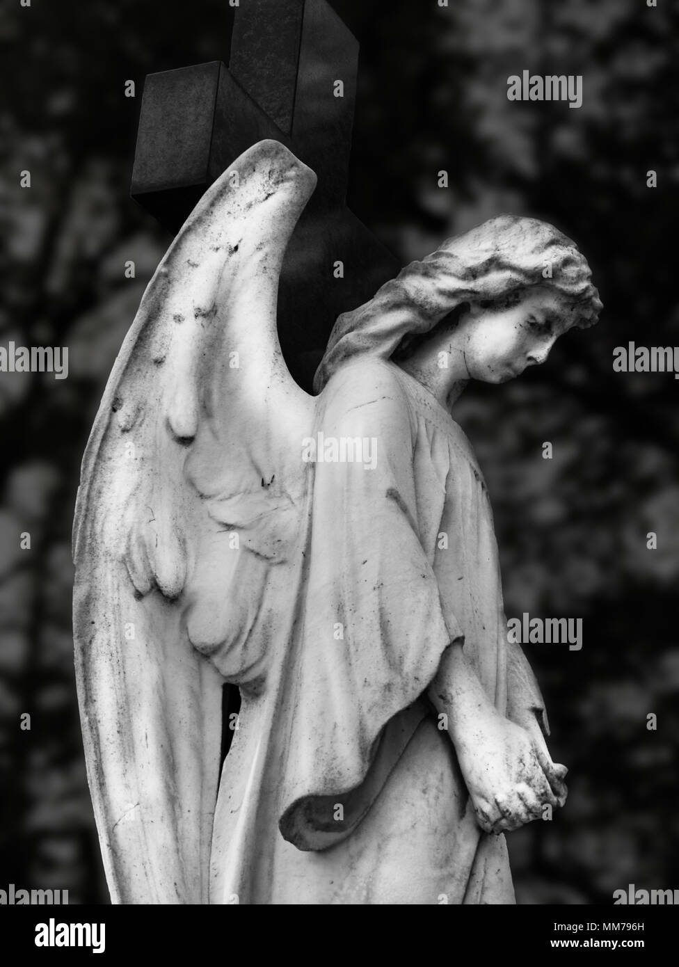 Stone angel statue hi-res stock photography and images - Alamy