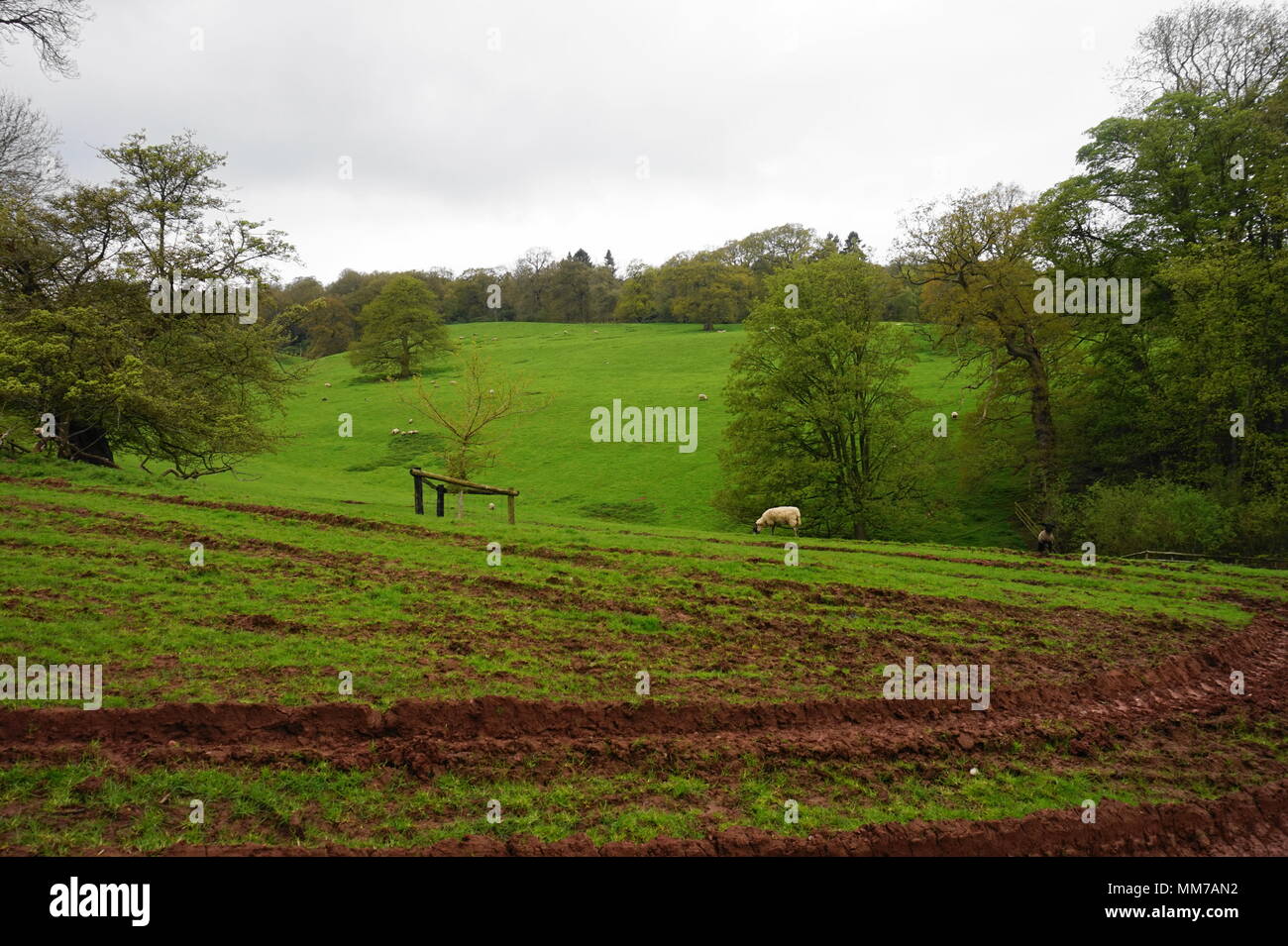 Drizzly hi-res stock photography and images - Alamy