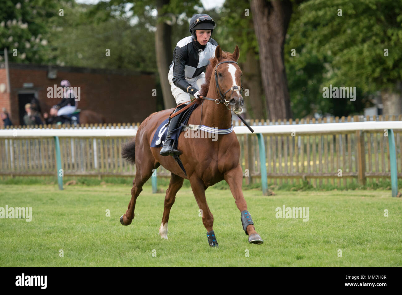Fontwell park races hi-res stock photography and images - Alamy