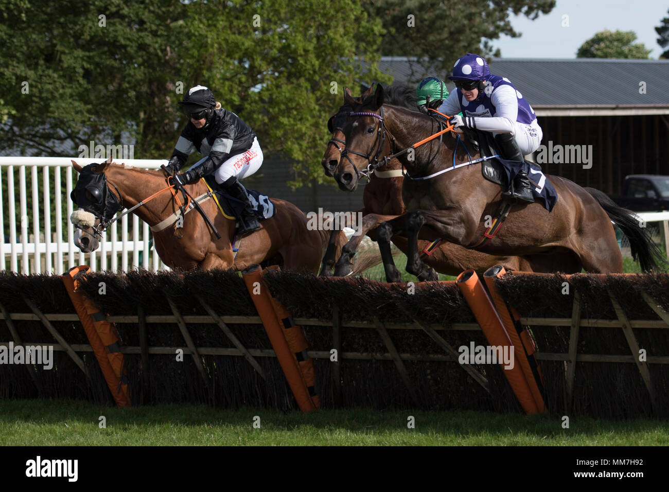 Racing Fontwell High Resolution Stock Photography and Images - Alamy