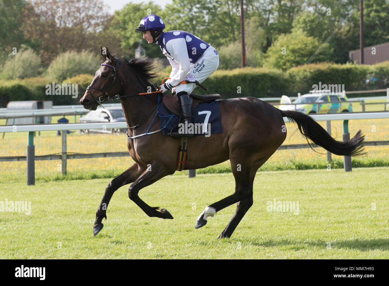 Fontwell park races hi-res stock photography and images - Alamy