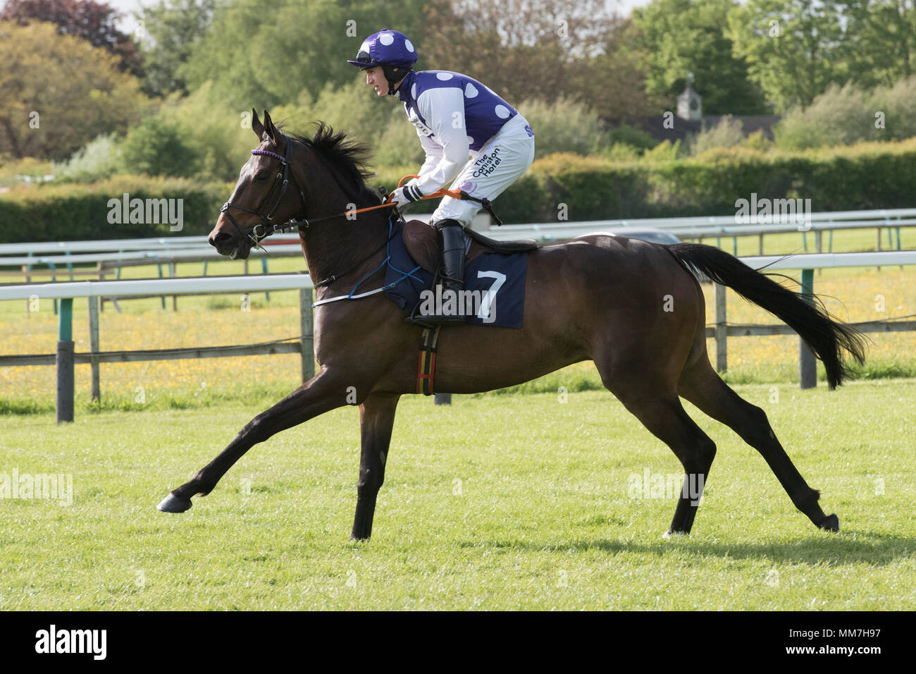 Fontwell hi-res stock photography and images - Alamy