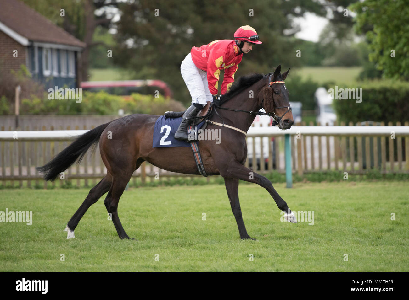 Racing fontwell hi-res stock photography and images - Alamy
