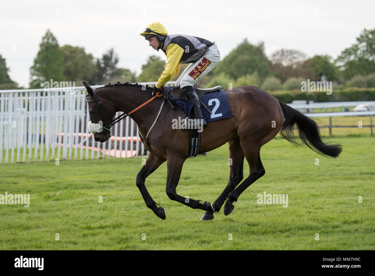 Fontwell park races hi-res stock photography and images - Alamy