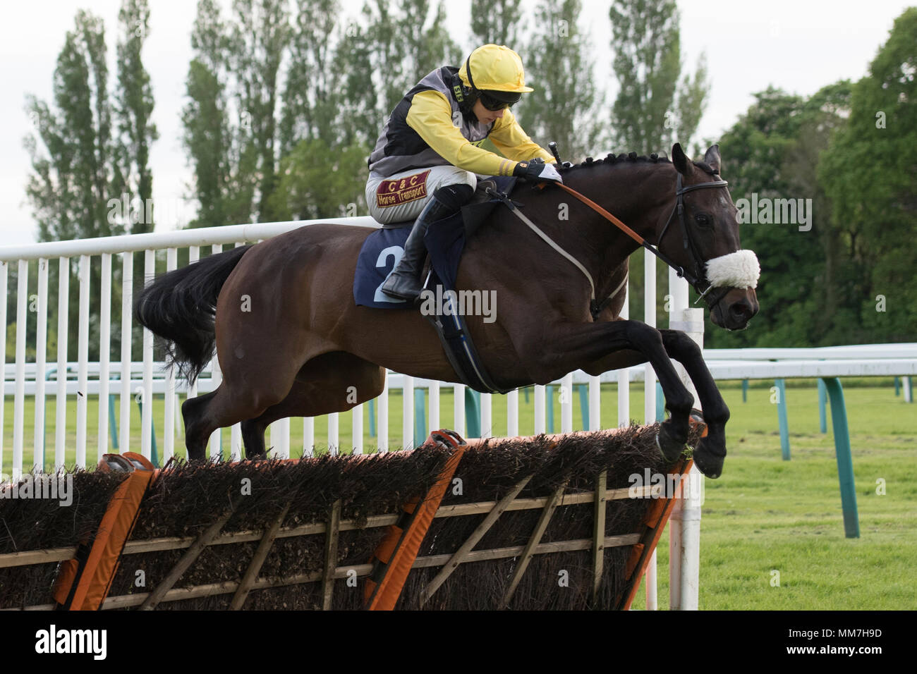 Fontwell park races hi-res stock photography and images - Alamy
