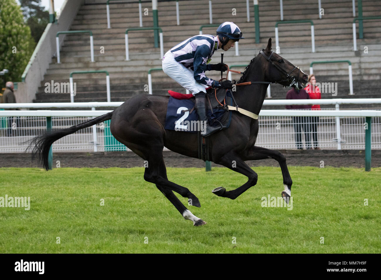 Fontwell park races hi-res stock photography and images - Alamy