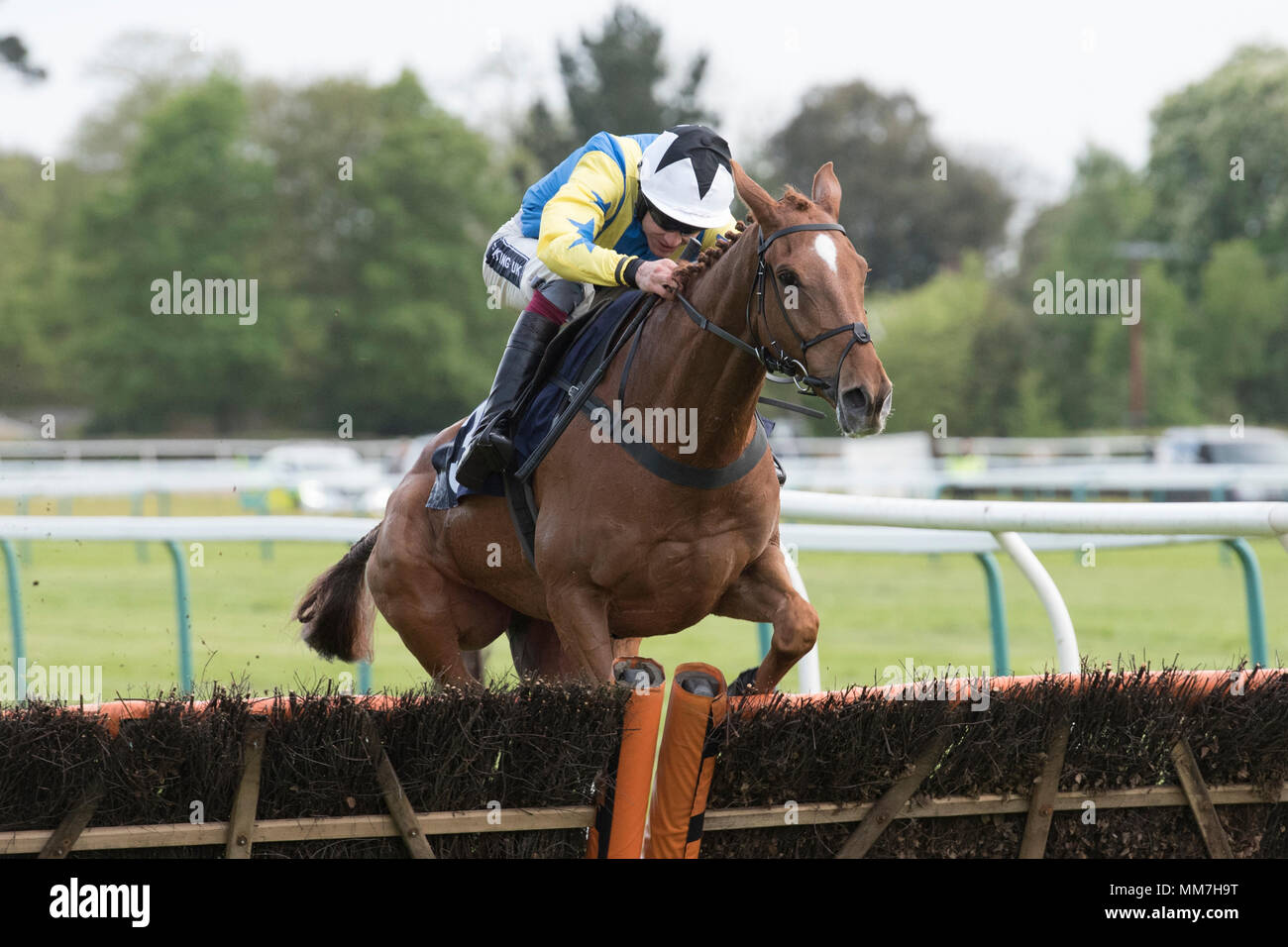 Fontwell Races 9th May 2018, Fontwell, UK Stock Photo - Alamy