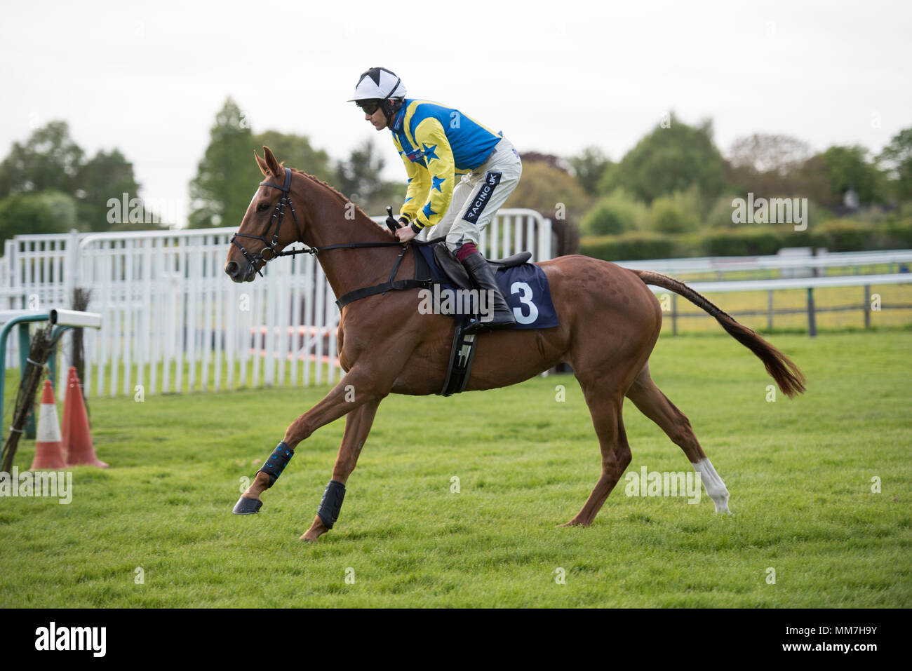Fontwell park races hi-res stock photography and images - Alamy