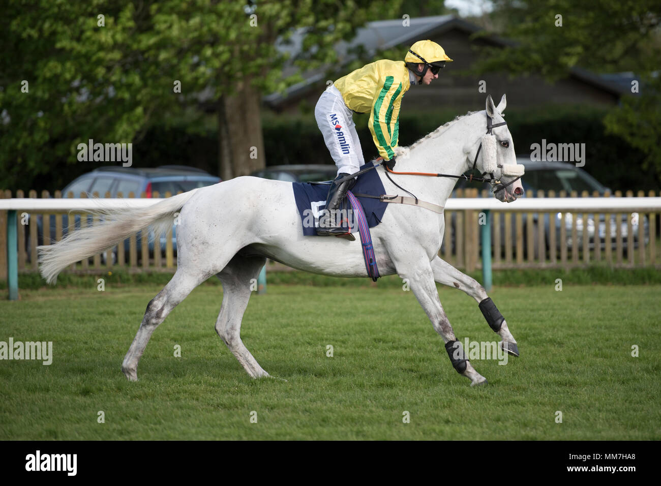 Fontwell Park Races High Resolution Stock Photography and Images - Alamy