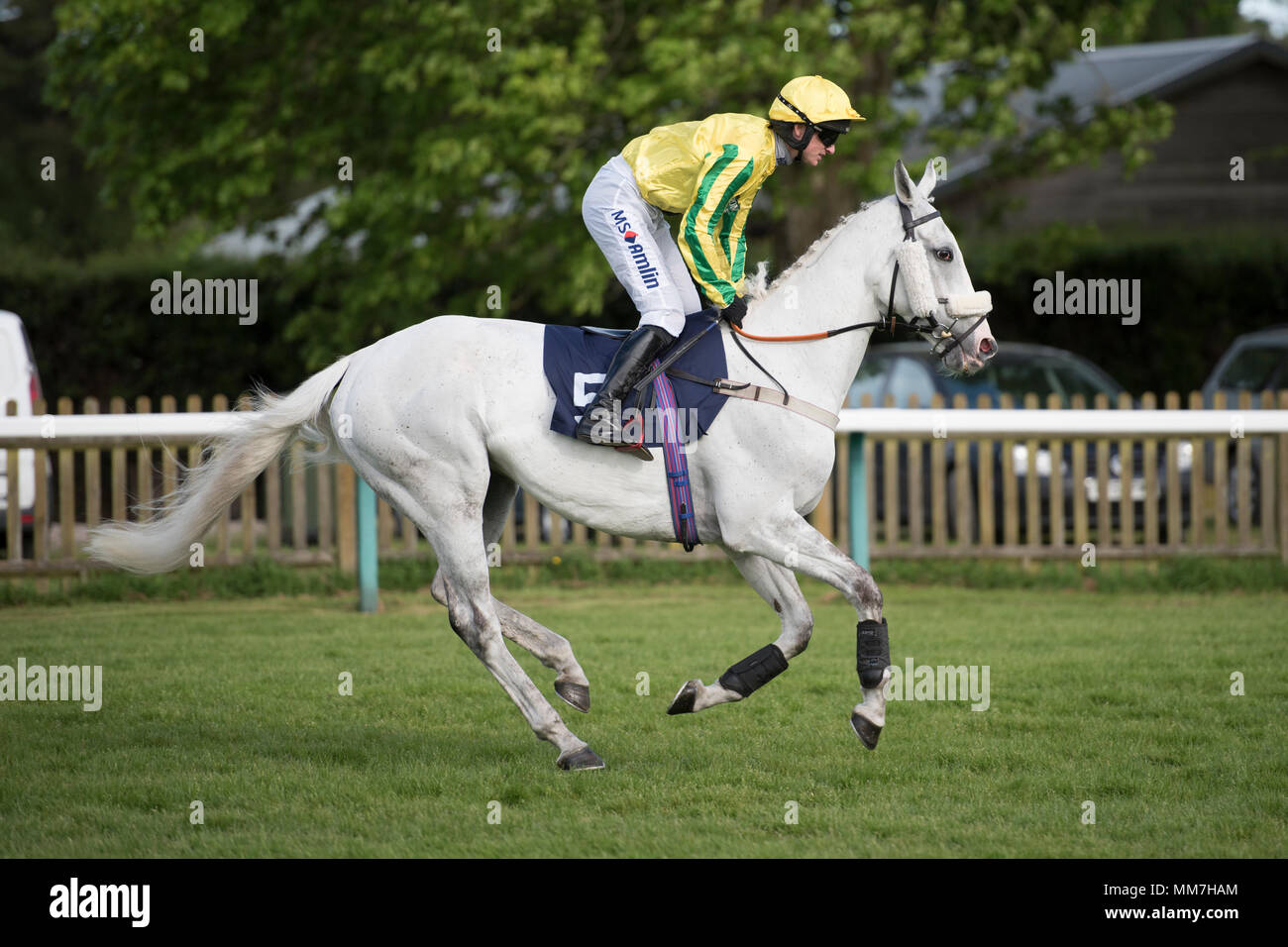 Fontwell park races hi-res stock photography and images - Alamy