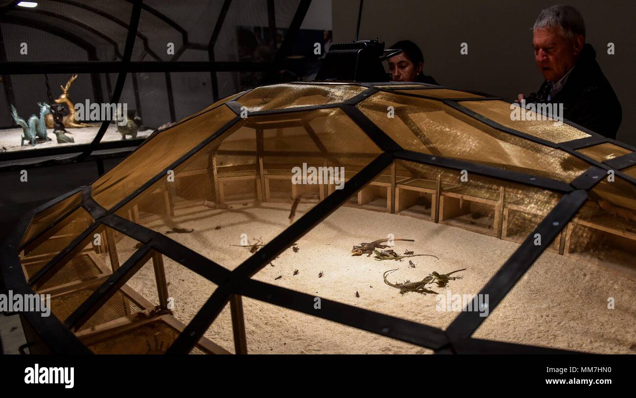 Huang Yong Ping Stock Photos & Huang Yong Ping Stock Images - Alamy