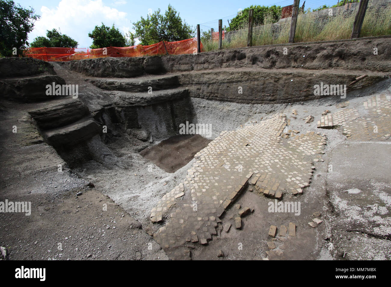 Pompeii horse cast hi-res stock photography and images - Alamy