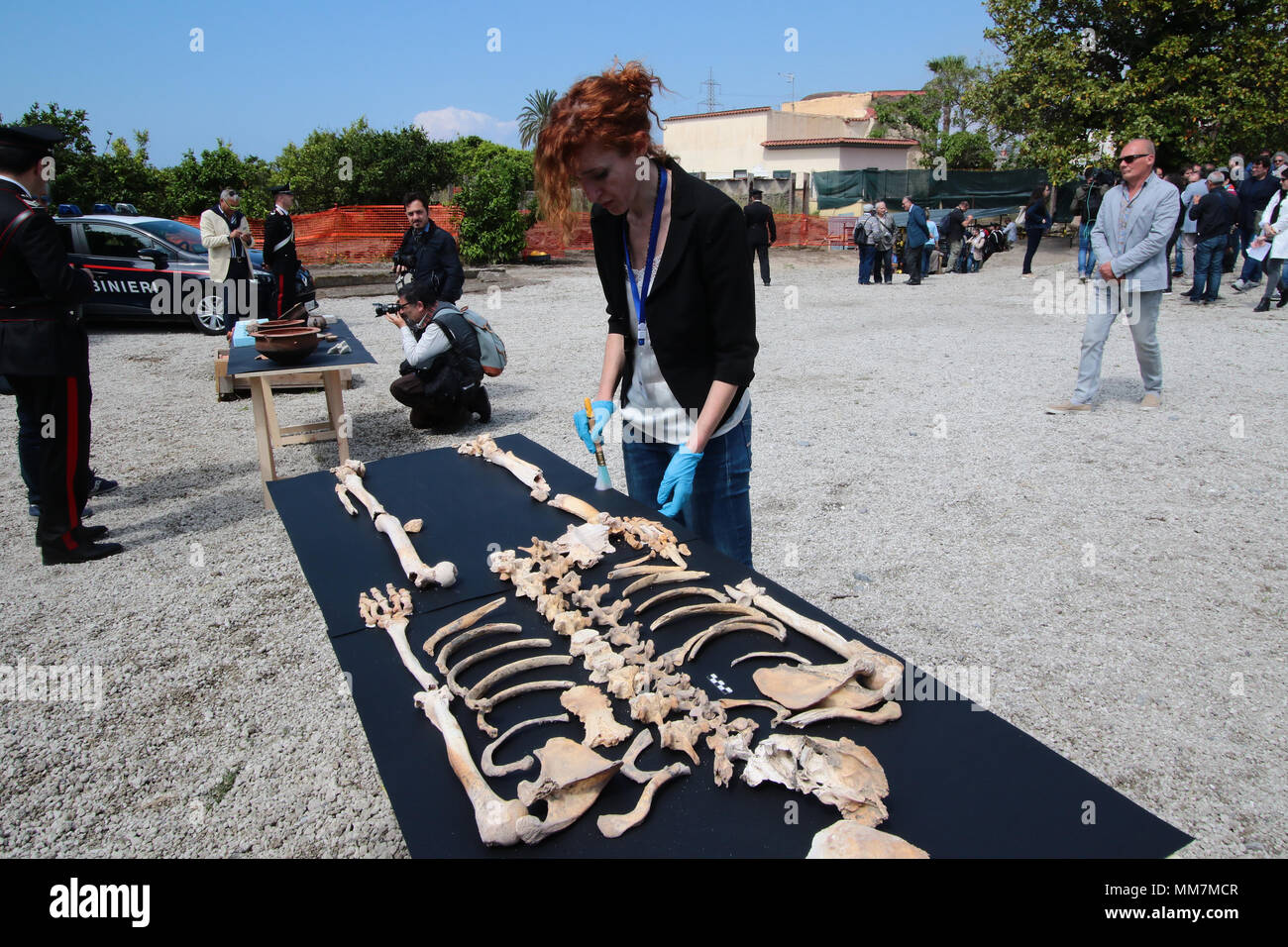 Pompeii horse cast hi-res stock photography and images - Alamy