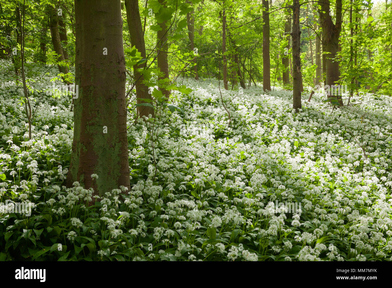 Scunthorpe uk hi-res stock photography and images - Alamy
