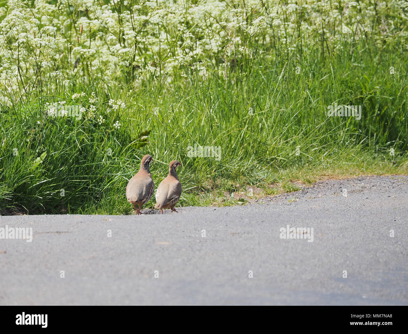 James Partridge High Resolution Stock Photography and Images - Alamy