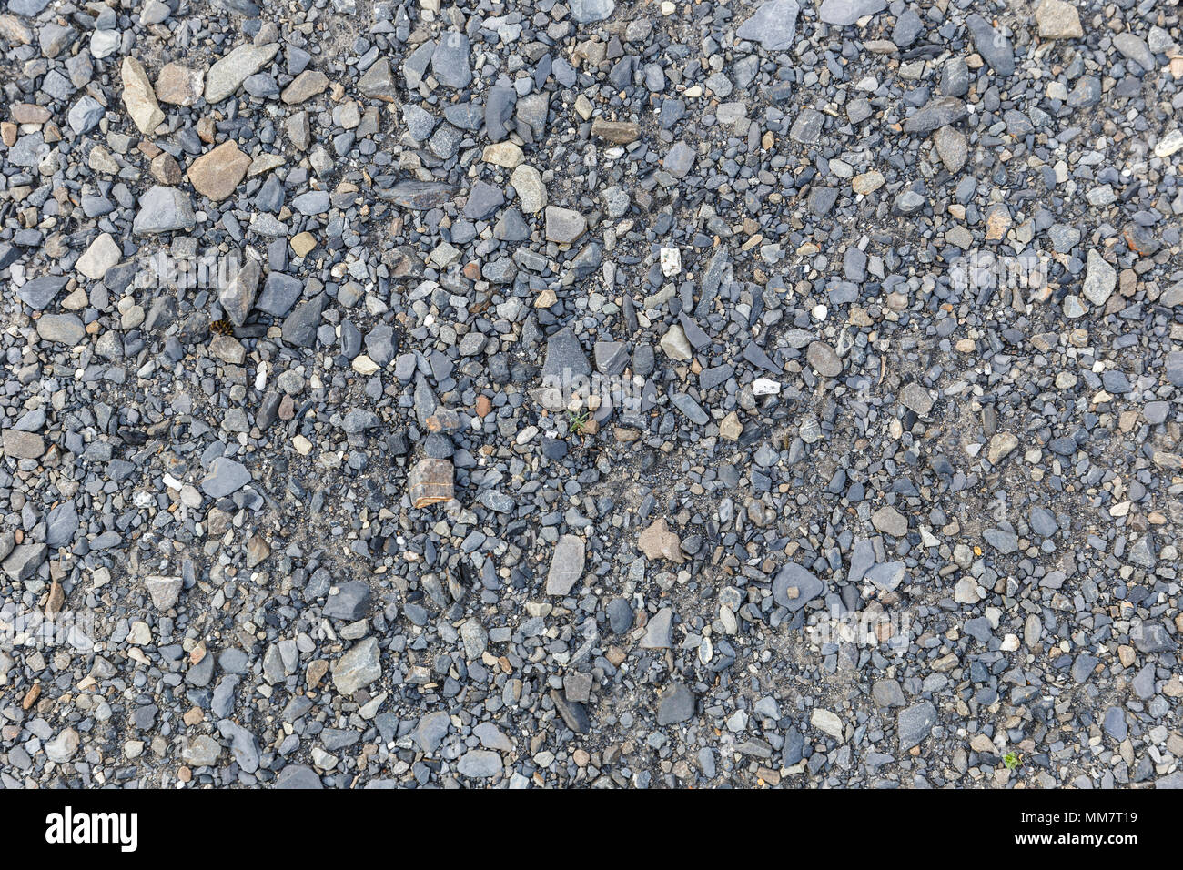 Texture of a small river stone Stock Photo - Alamy