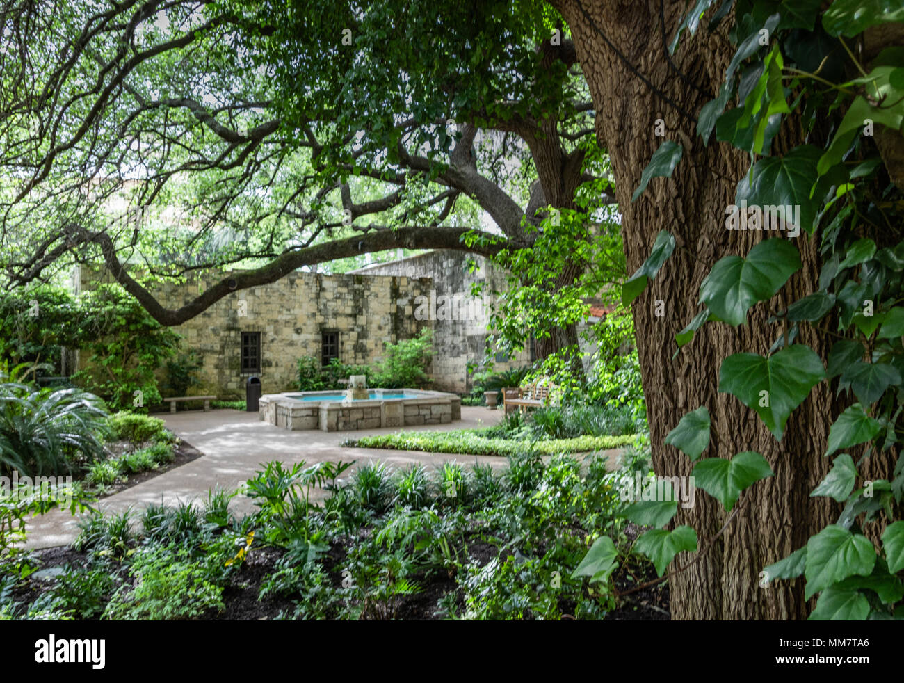 Battle of san antonio 1836 hi-res stock photography and images - Alamy
