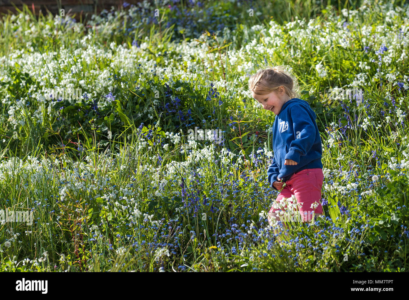 A young girl having fun running through wildflowers Stock Photo - Alamy
