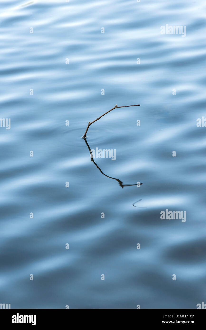 A twig reflected in water Stock Photo - Alamy