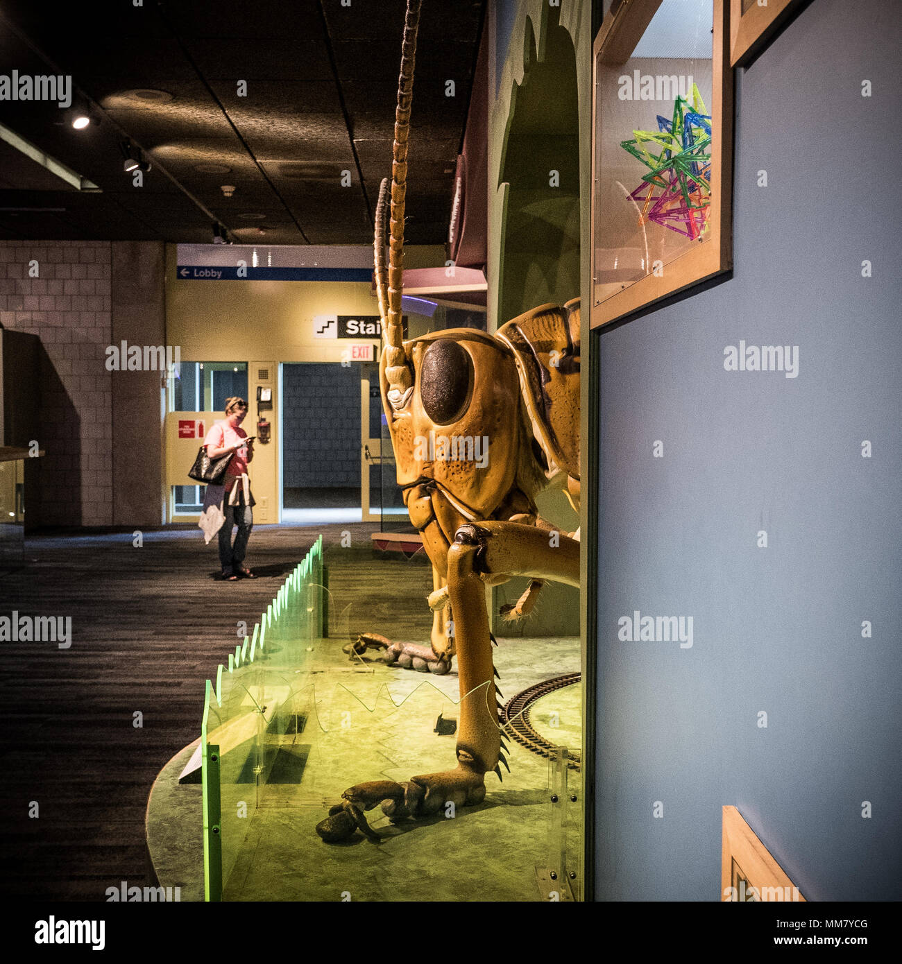 Giant grasshopper sculpture at the Boston Museum of Science Stock Photo ...