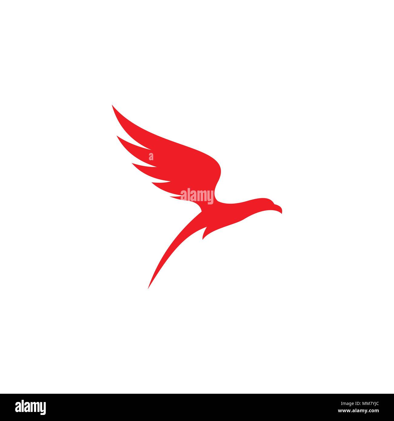 Bird Graphic Design