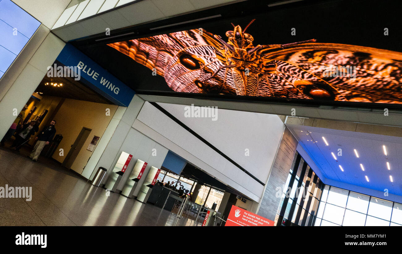 LED Ceiling Media, lobby level 1, looking towards lobby and entrance ...