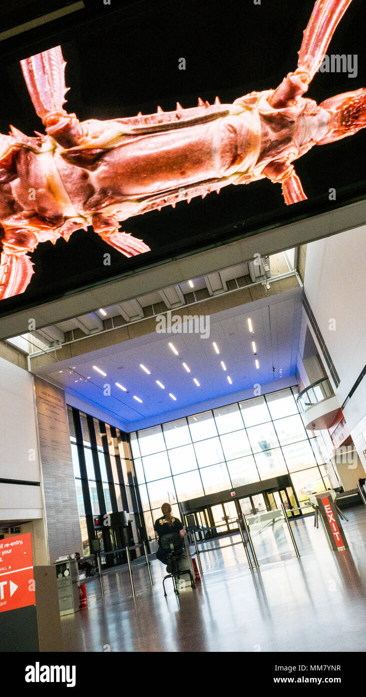 Entrance to butterfly world hi-res stock photography and images - Alamy