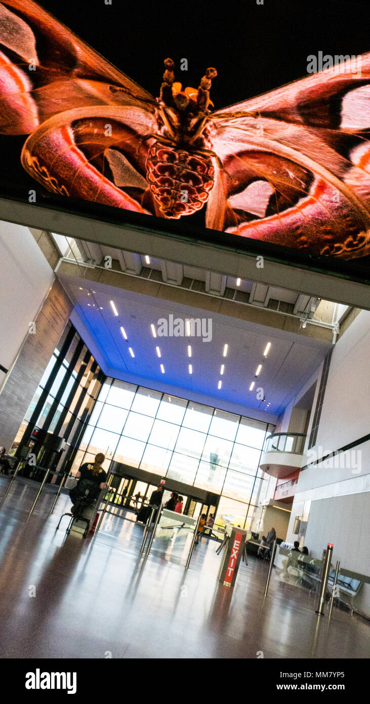 Entrance to butterfly world hi-res stock photography and images - Alamy