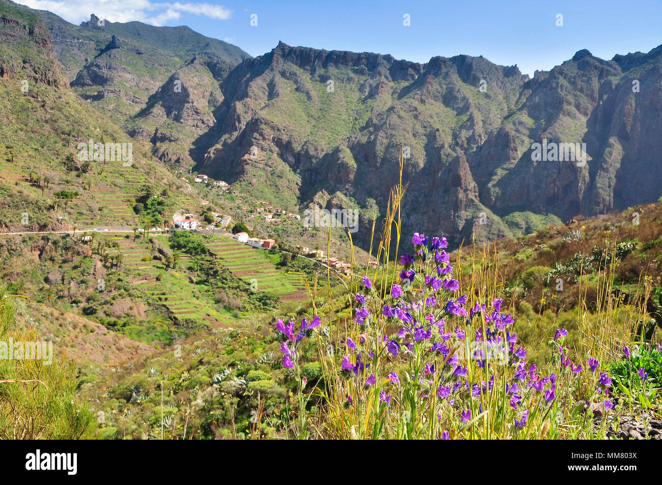 Tenerife La Masca valley Stock Photo - Alamy