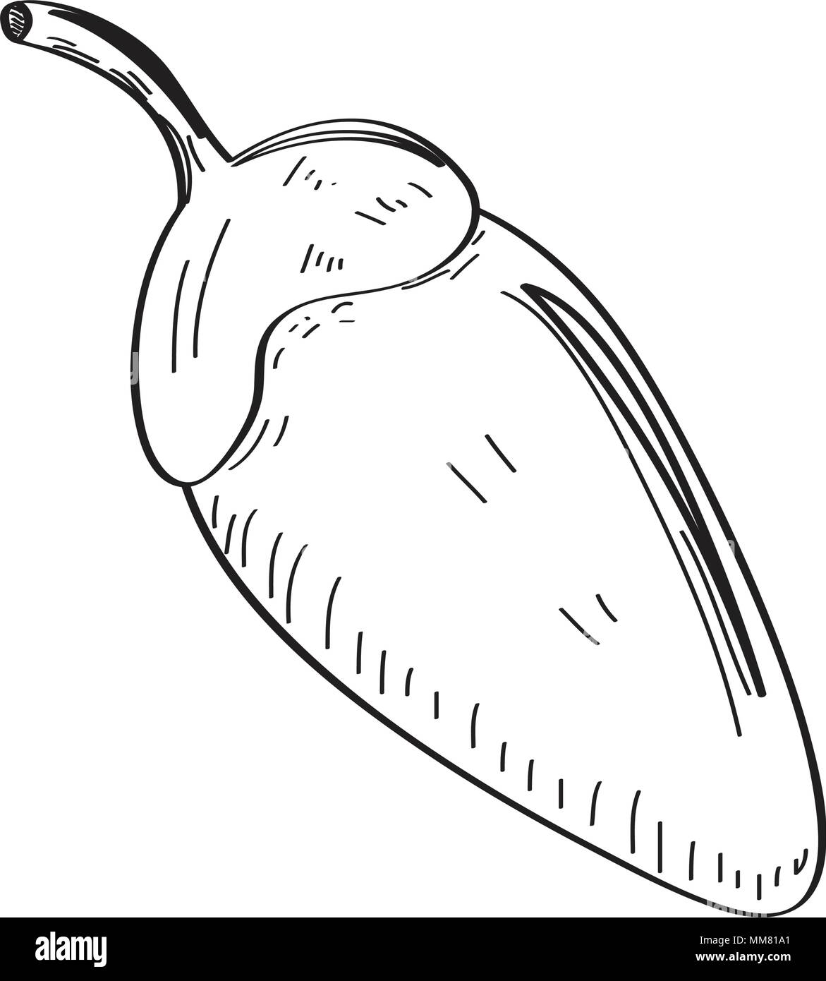 Paprika red pepper vector Black and White Stock Photos & Images - Alamy