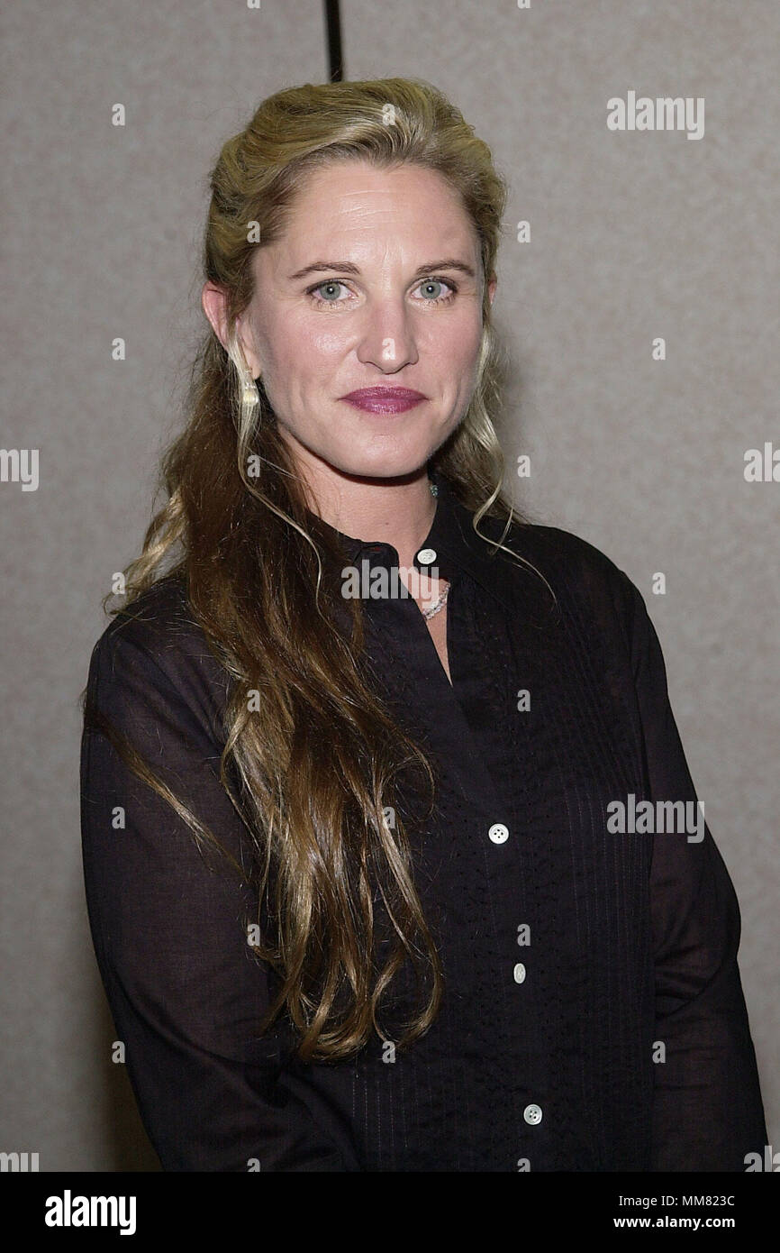 Amy Vincent was attending the Women in Film Silver anniversary Luncheon ...