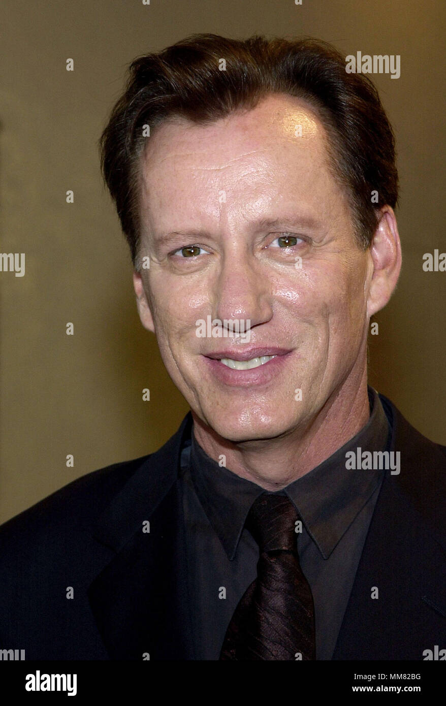 James Wood arriving at the premiere of Final Fantasy: The Spirits ...