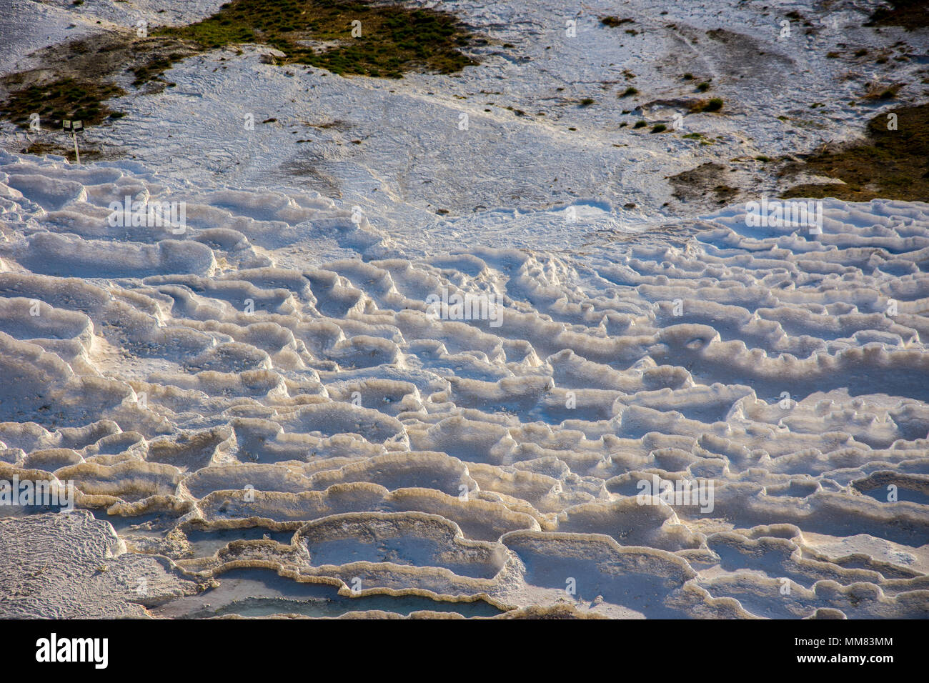 a lot of small waterpools with nice shape in attractive location in ...