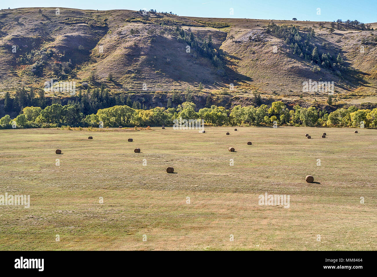 Rolls hay in freshly hi-res stock photography and images - Alamy
