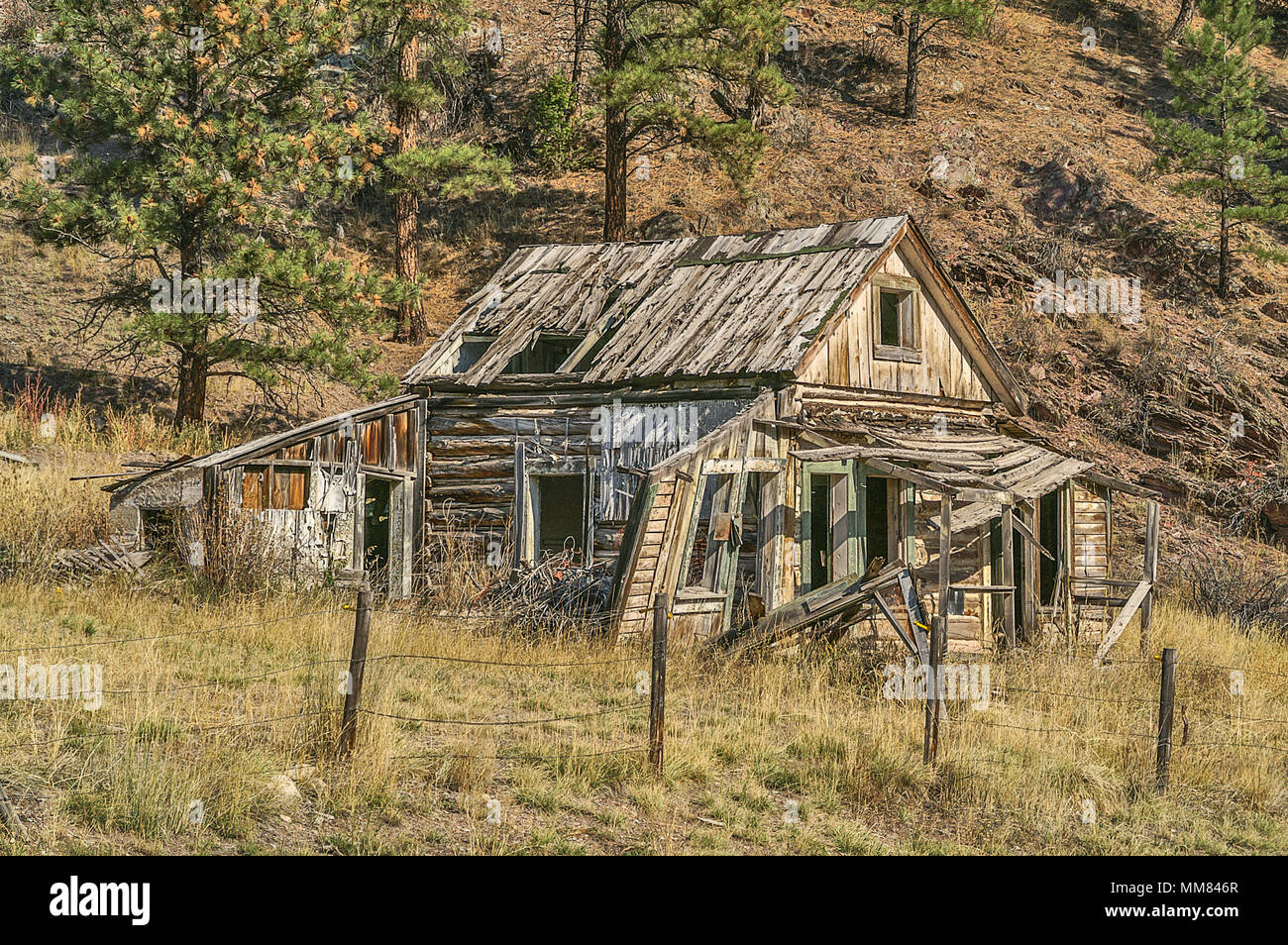 Log ons hi-res stock photography and images - Alamy