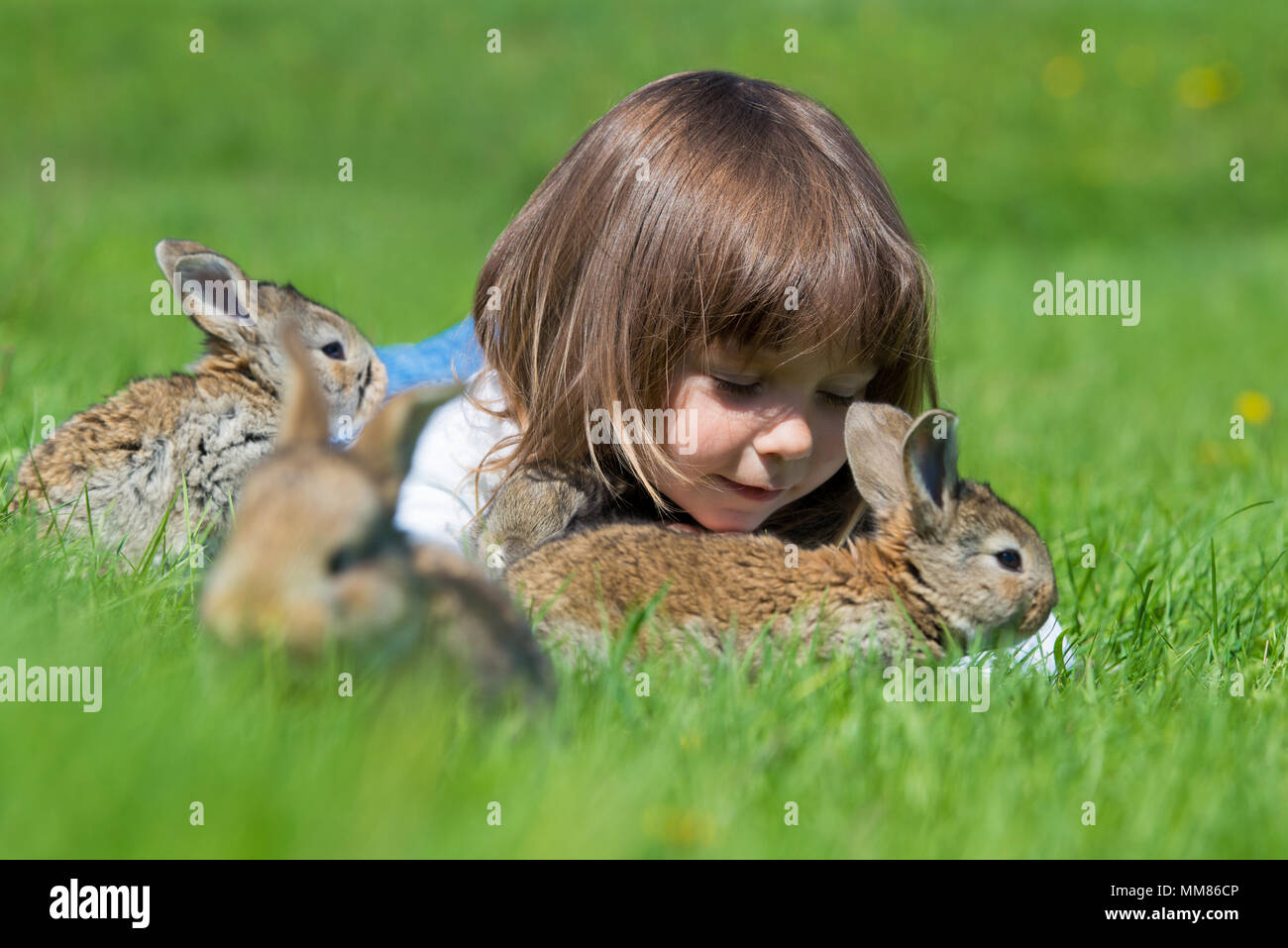 Happy little child girl with cute rabbit. Portrait of kid with pet ...