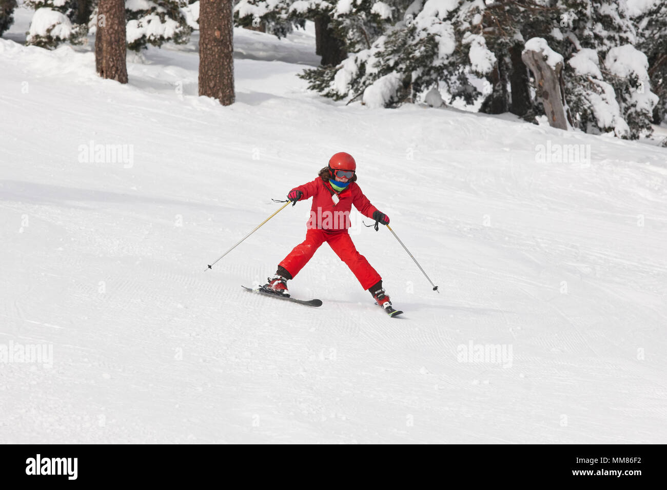 Children starting to learn how to ski. Winter sport. Horizontal Stock ...