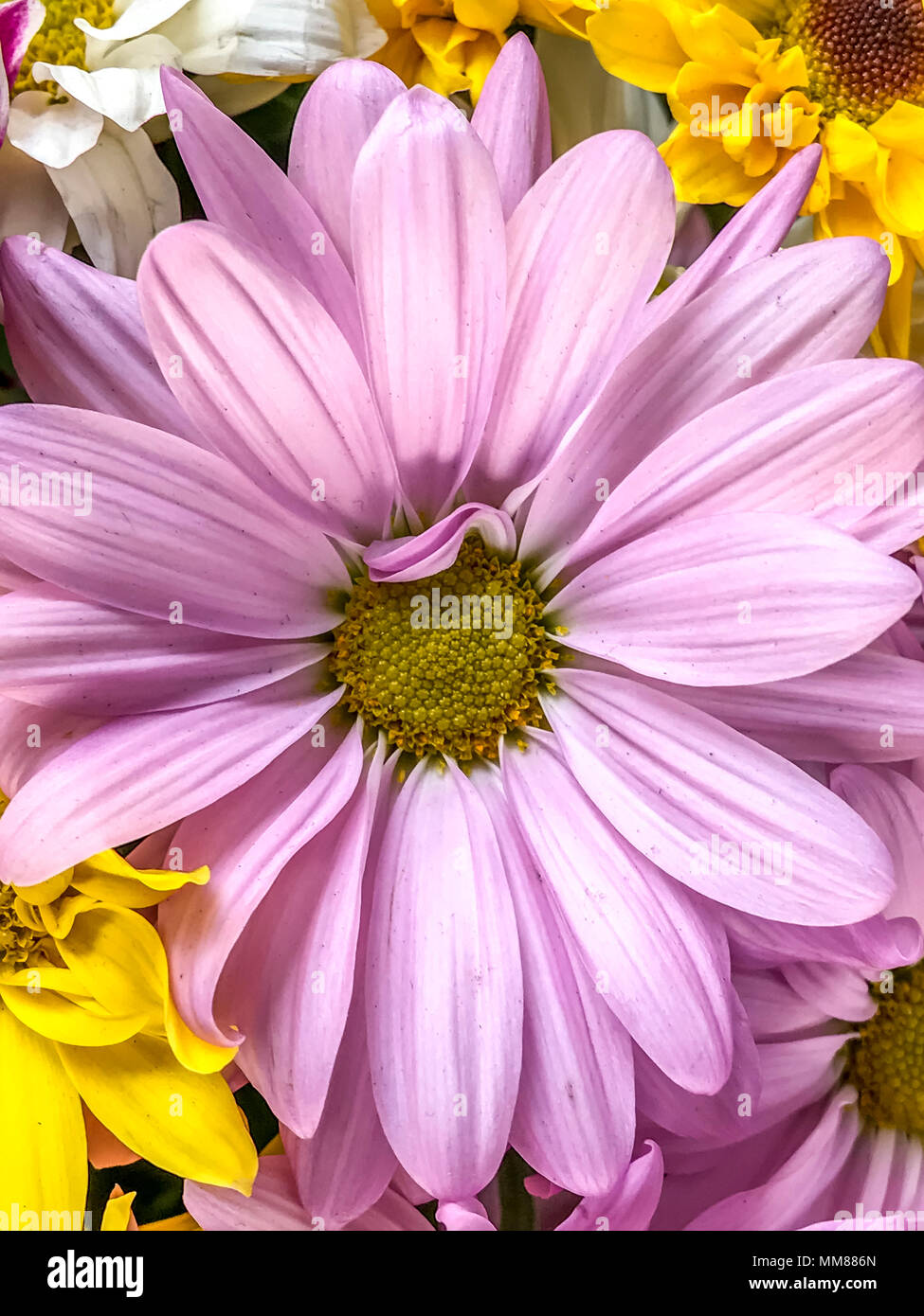 Other colors hi-res stock photography and images - Alamy