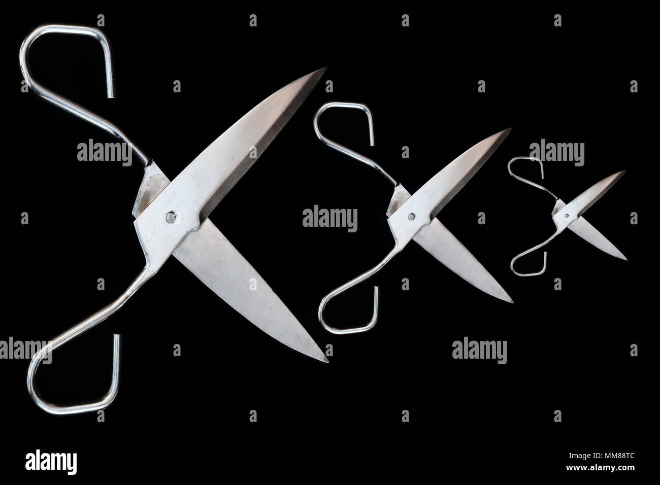 Three scissors of different sizes being chased on black background ...