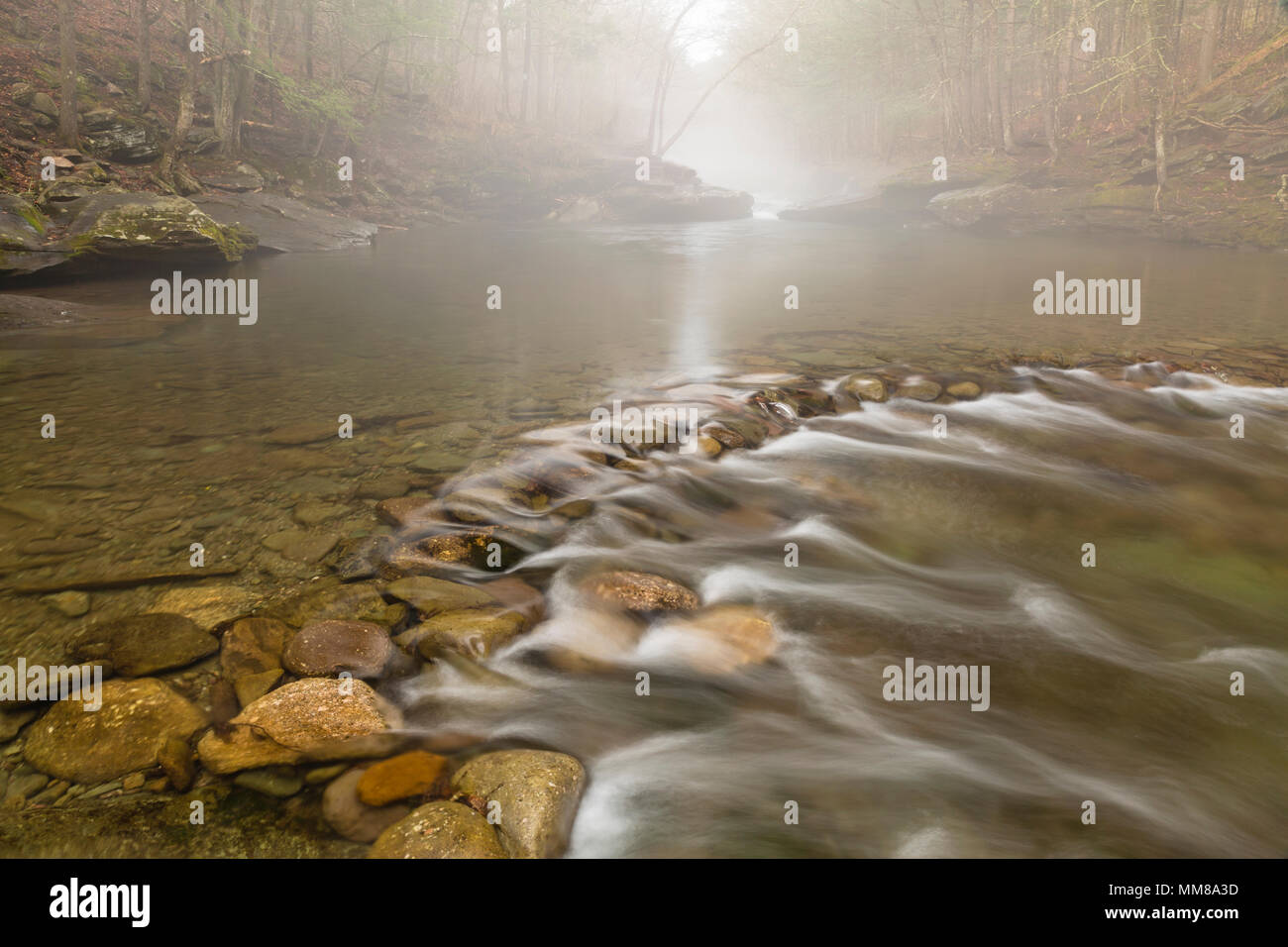 Peekamoose Blue Hole wrapped in Spring fog on the Rondout Creek in ...