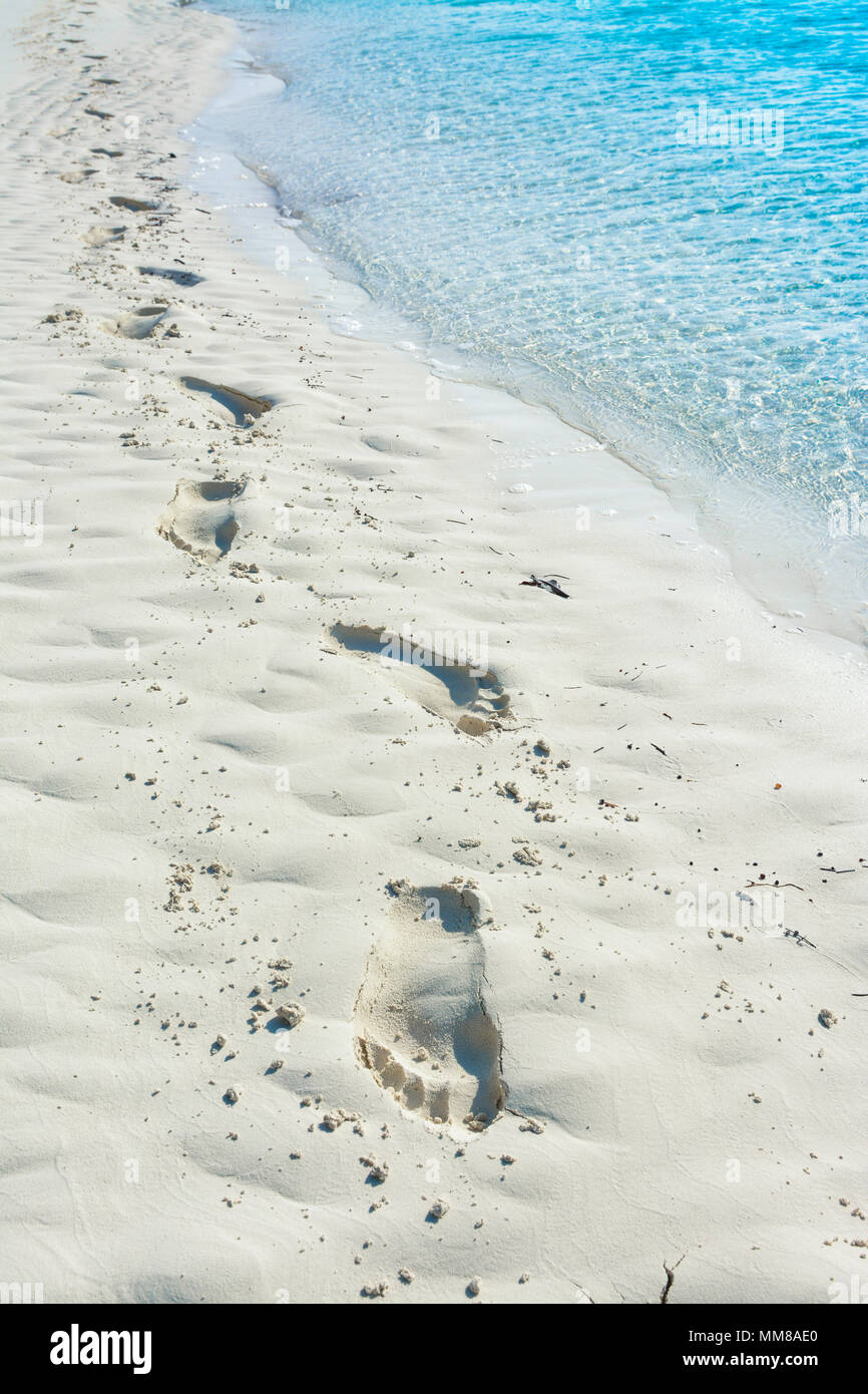 Footprints in the sand with blue ocean in the left Stock Photo - Alamy