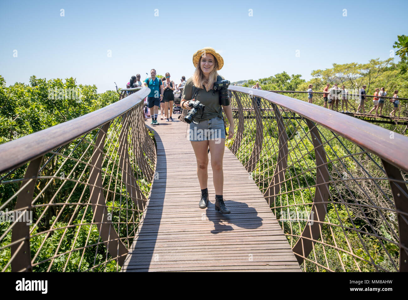 Young female photographer walking along The Centenary Tree Canopy ...