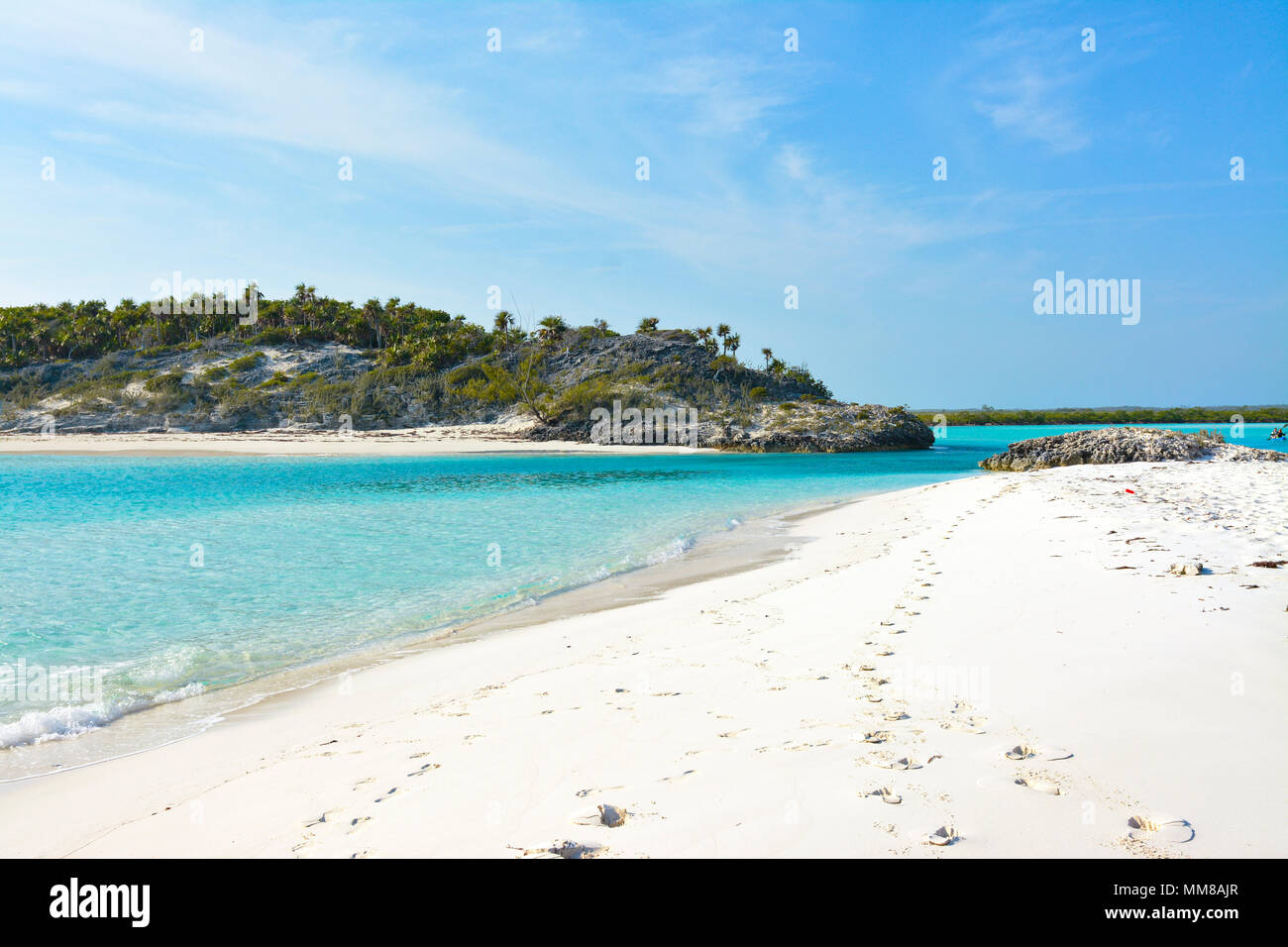 Beautiful beach in the Bahamas with sand in the right and ocean in the ...